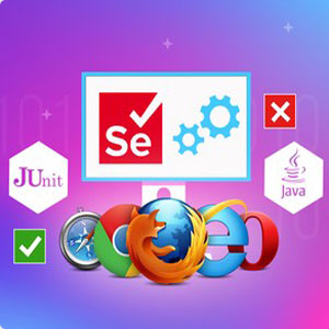 使用 C# 的 Selenium WebDriver 大师班 ( Selenium WebDriver Masterclass with C# ...