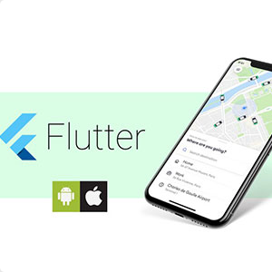 使用 Flutter 和 Firebase 构建 UBER 克隆应用程序 (2020) ( Build UBER Clone App Using Flutter and Firebase ...
