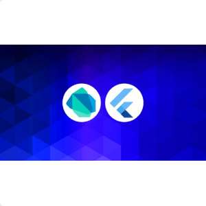 Udemy——Dart 和 Flutter |完整的 Flutter 开发课程 ( Dart & Flutter | The Complete Flutter Development ...